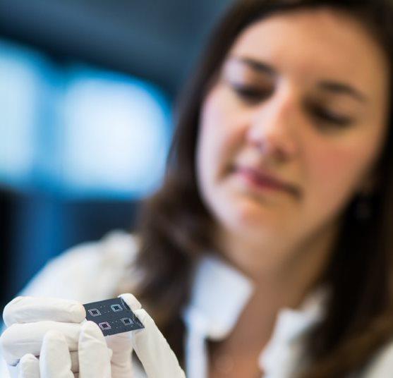 Alles onder controle dankzij chiptechnologie | Verdieping | ScienceLink