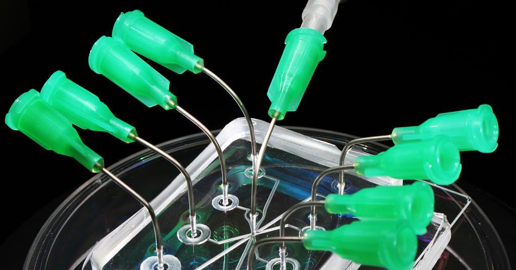 Microfluidic devices voor medische toepassingen | Partnerbijdragen ...