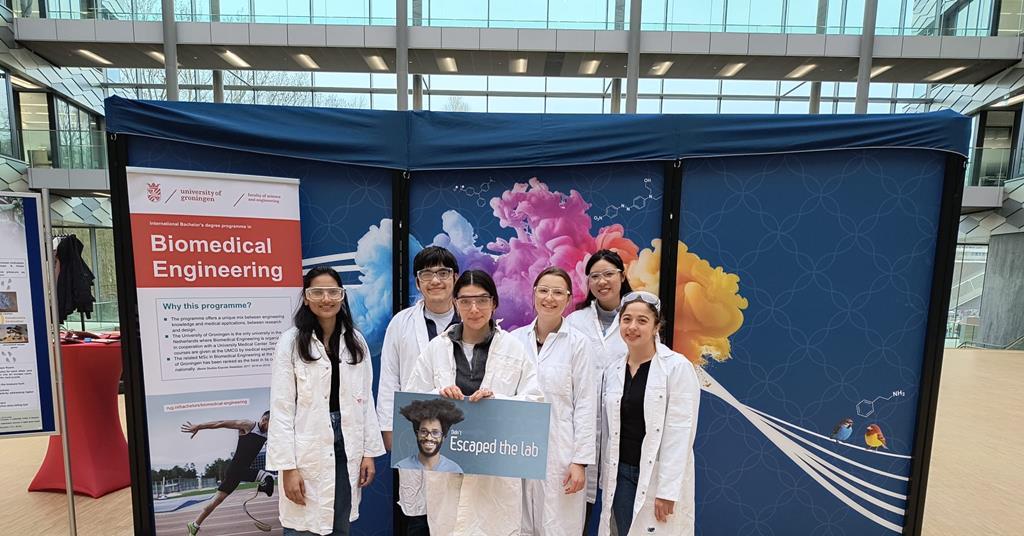 Puzzles make chemistry tangible (and fun) | International | ScienceLink