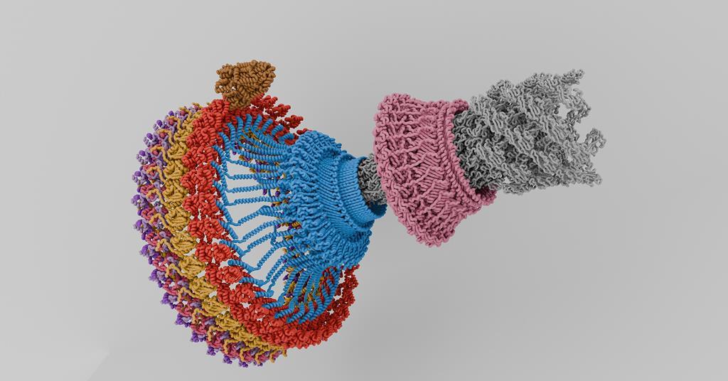 Protein Gear Gives Flagella Two Rotation Directions International