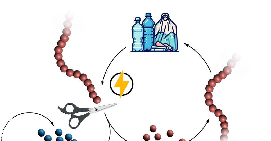 Polymer waste electrochemically recycled | International | ScienceLink
