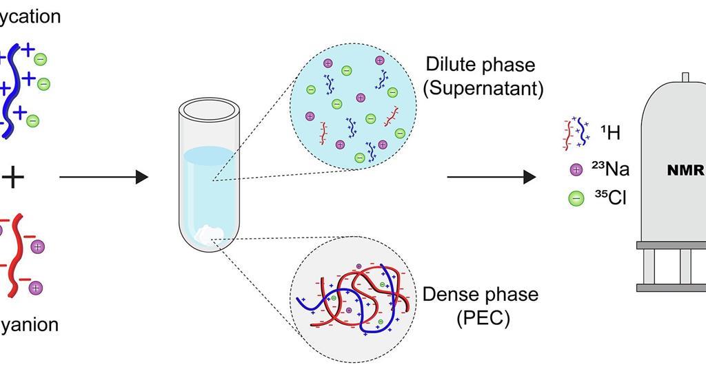 The specs of PECs unravelled | International | ScienceLink