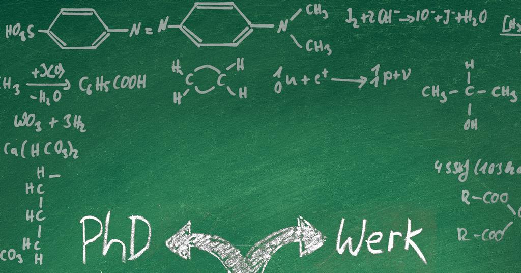 Why a PhD is not your only option | International | ScienceLink