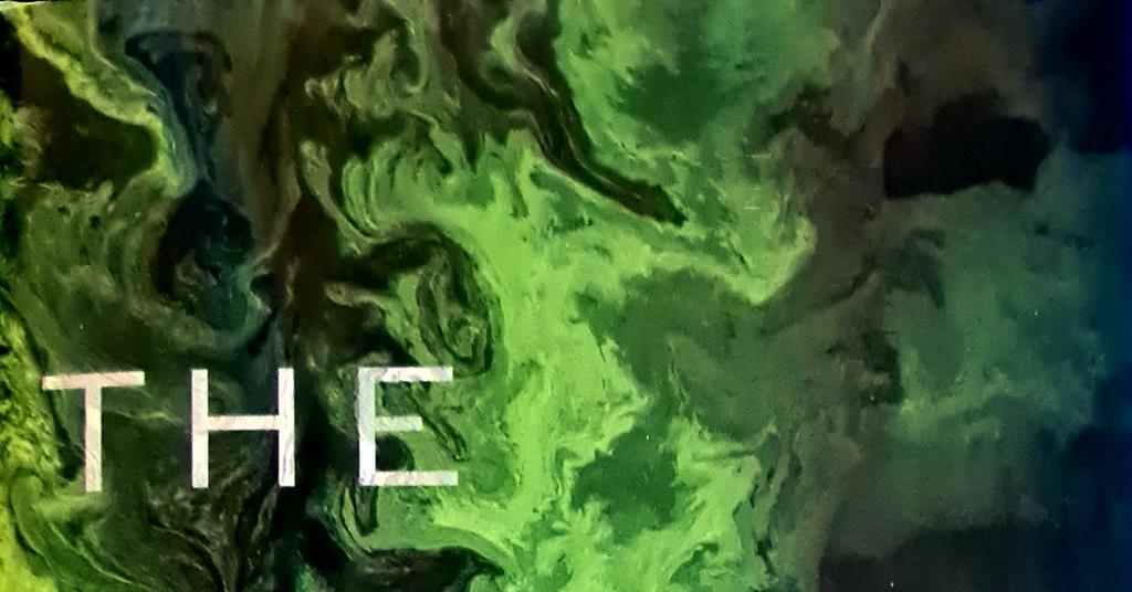 The many faces of phosphorus | International | ScienceLink