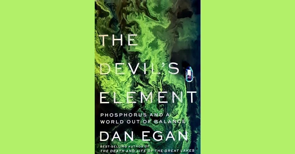 The many faces of phosphorus | International | ScienceLink