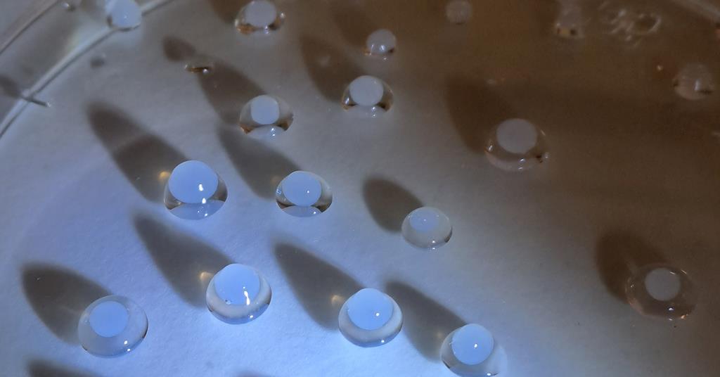 Blue bead parade | International | ScienceLink