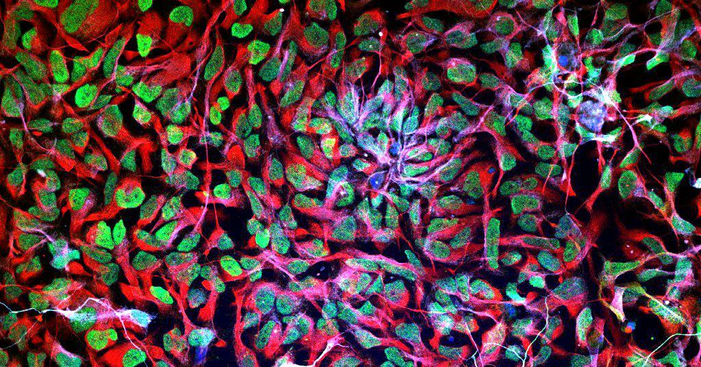 Sam Stupp’s dancing molecules heal spinal cord injuries | International ...