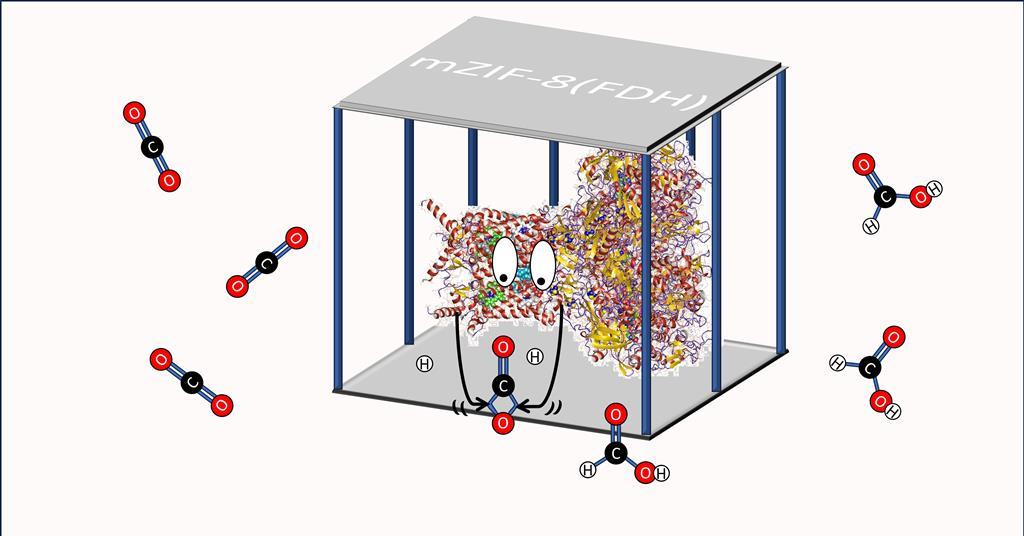 Caged enzyme reduces CO2 | International | ScienceLink