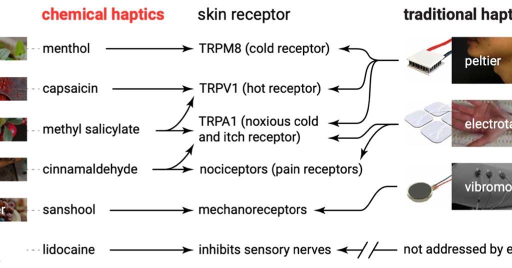 Chemical tricks offer real-life sensations | International | ScienceLink