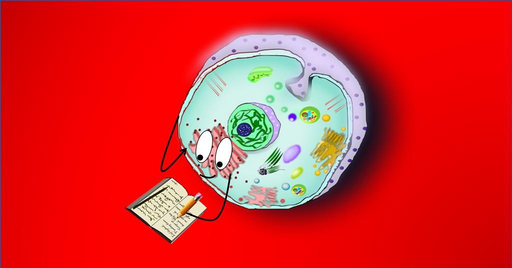 Biological diary of a cell created | International | ScienceLink