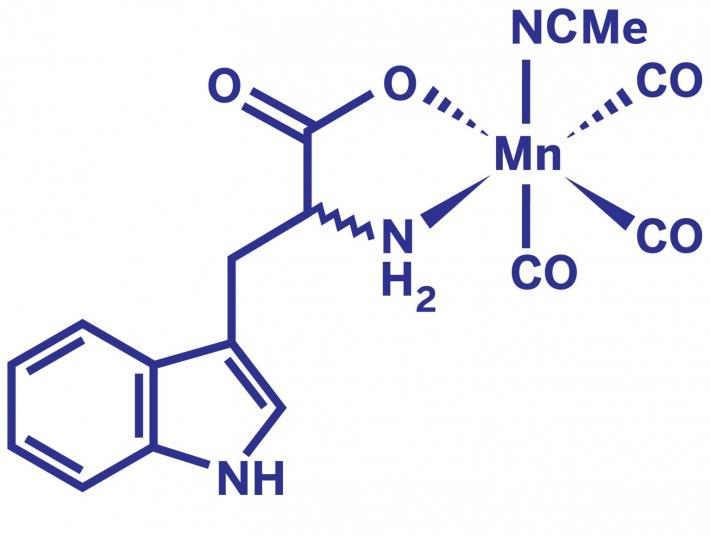 Koolstofmonoxide tegen gonorroe | Nieuws | ScienceLink