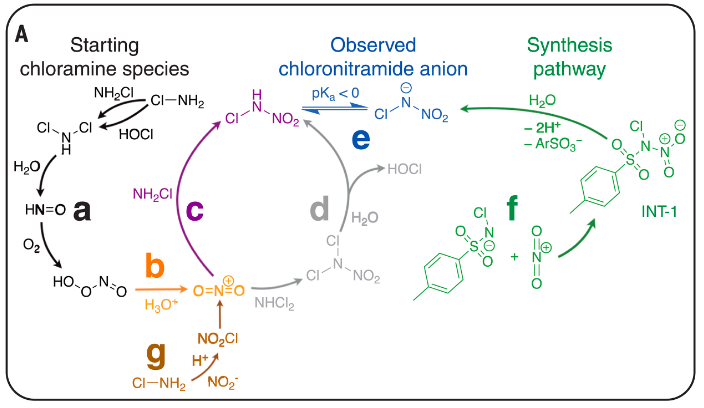 First detected 40 years ago, a byproduct in chloraminated drinking ...
