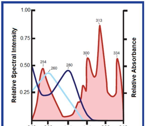 Viral-vector-based gene therapies | Partnerbijdragen | ScienceLink