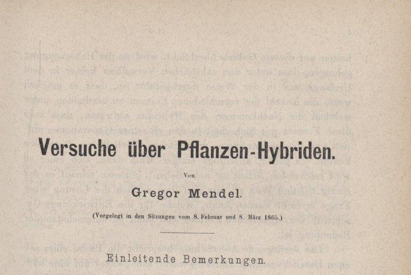Mendel en zijn erfenis | Verdieping | ScienceLink