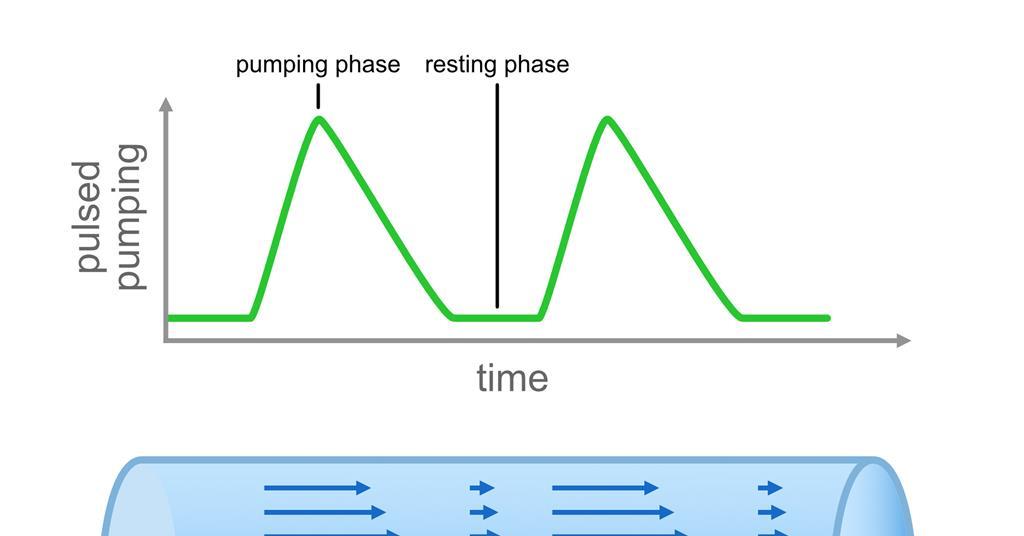 Pulsating pumping prevents turbulence | International | ScienceLink