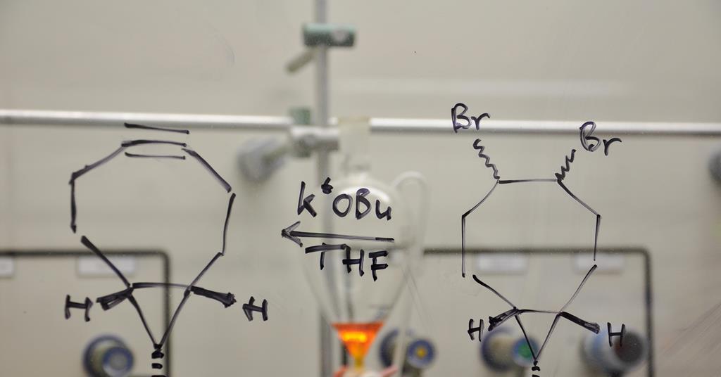 Metal-free click chemistry for antibody-drug conjugates | International ...