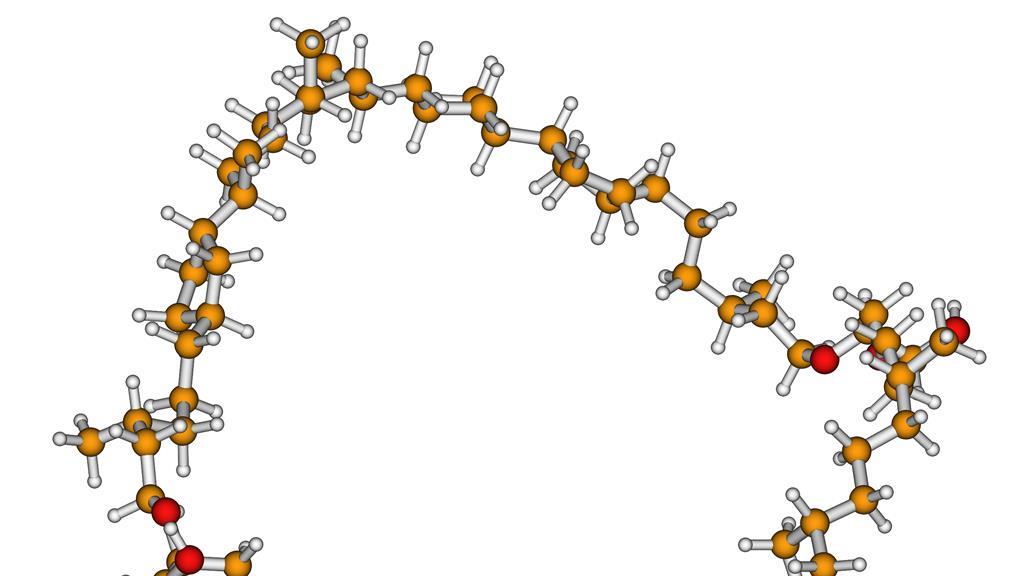 Crenarchaeol, a molecule of superlatives | International | ScienceLink