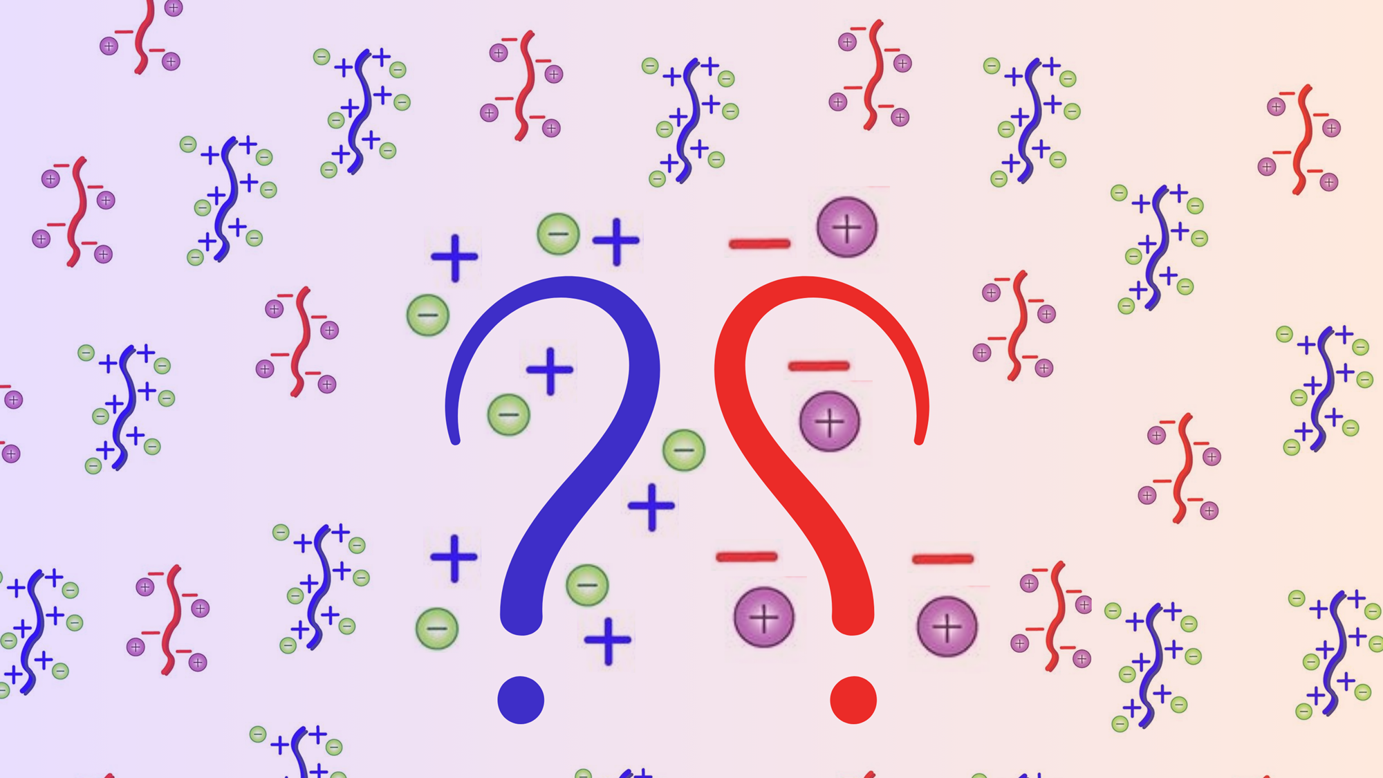 The specs of PECs unravelled | International | ScienceLink