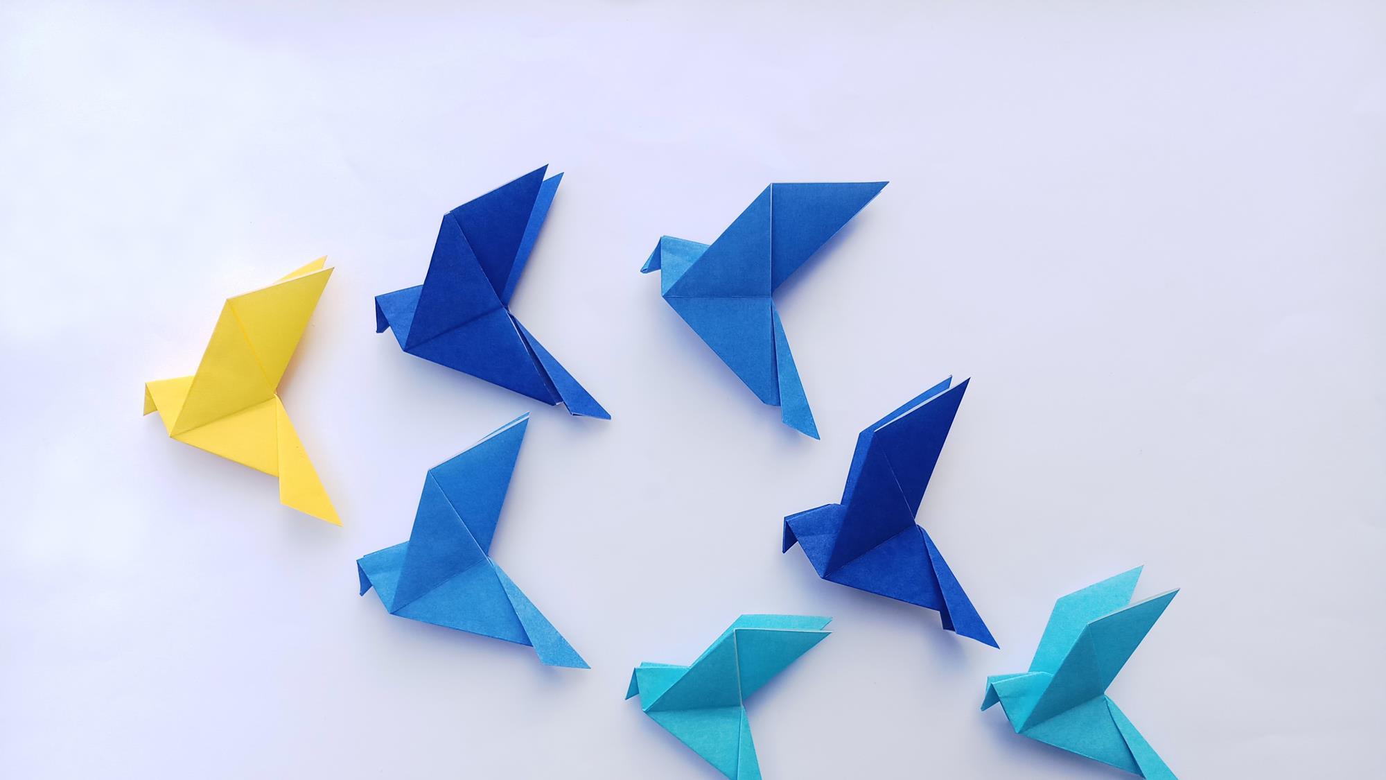 Cryo-EM reveals new details about RNA origami | International | ScienceLink