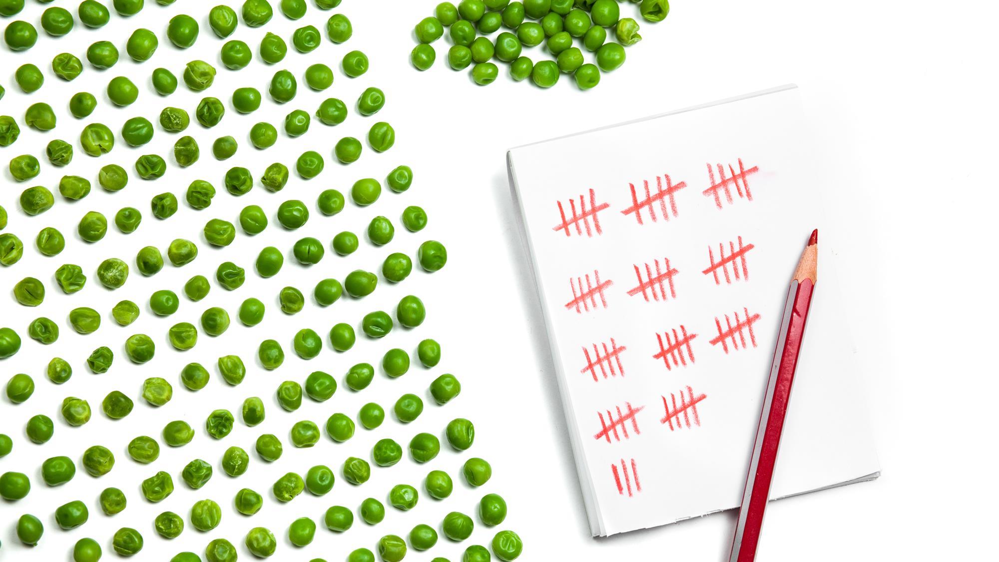 Turven | Opinie & Columns | ScienceLink