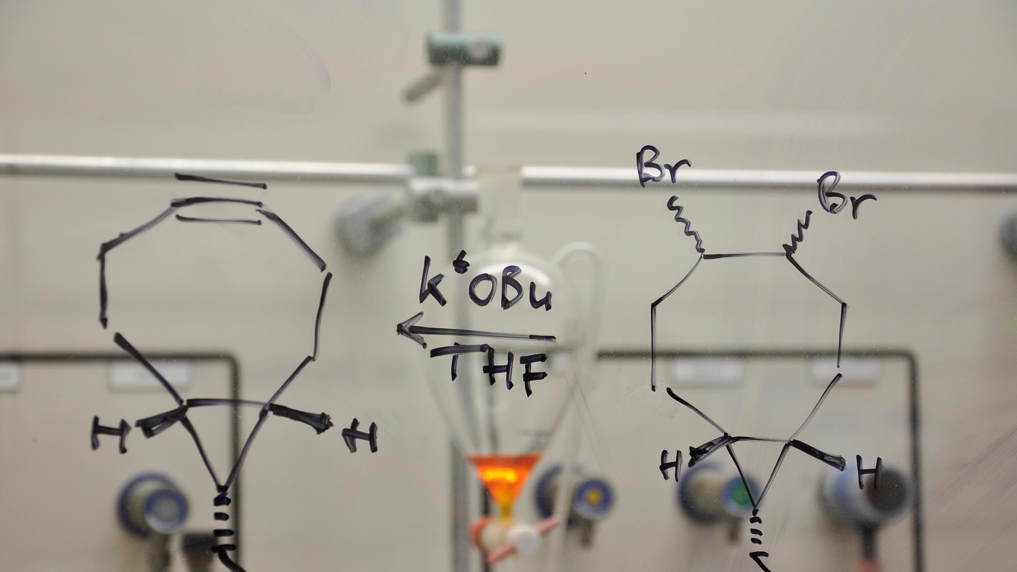 Metal-free click chemistry for antibody-drug conjugates | International ...