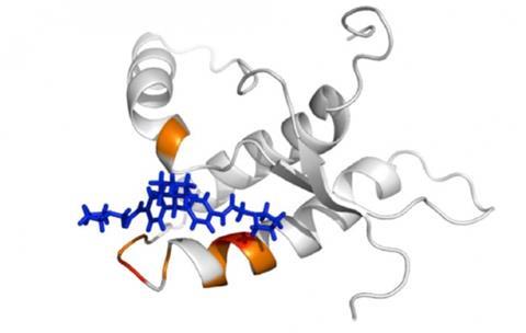 Chaperonne houdt prionen gezond | Nieuws | ScienceLink