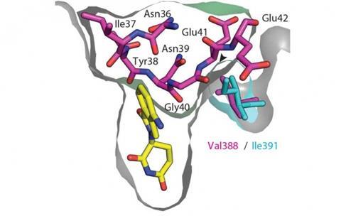 Werking Softenon opgehelderd | Nieuws | ScienceLink