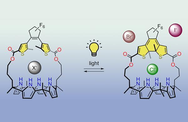 Fotoswitch selecteert op grootte | Nieuws | ScienceLink
