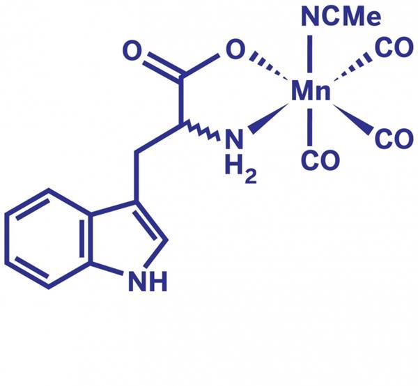 Koolstofmonoxide tegen gonorroe | Nieuws | ScienceLink