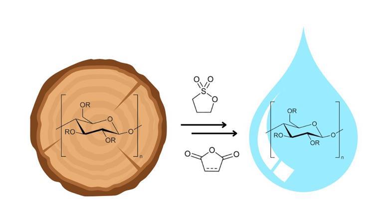 Solubility of cellulose (dis)solved | International | ScienceLink