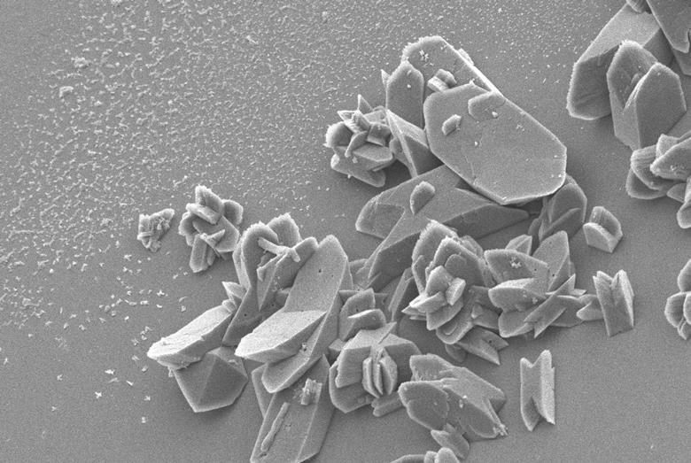 Nierstenen in een druppelchip | Nieuws | ScienceLink